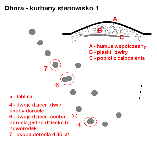 Zobacz wątek - Racibórz Obora, kurhany • Eksploratorzy